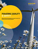 Power Plant Integrity Management Services