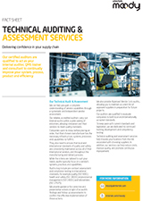 Technical Auditing